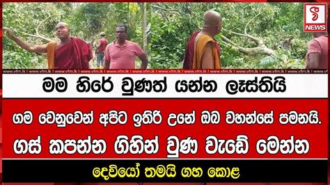ගස් කපන්න ගිහින් වුණ වැඩේ මෙන්න Youtube