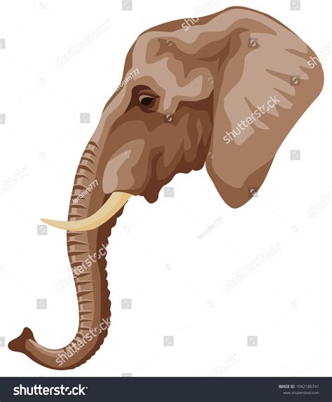 Elephant Face Side View African Elephant Portrait Side Profile Head