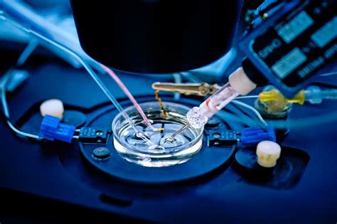 Unlocking Potential With The Automated Patch Clamp System By Coherent Market Insights May