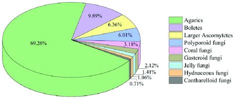 The Proportion Of Different Macrofungal Types Download Scientific Diagram
