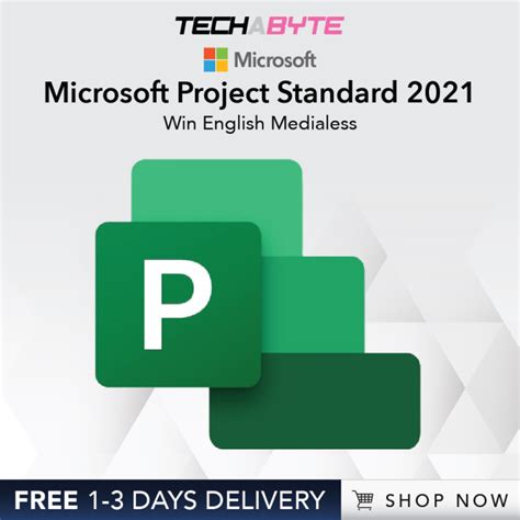 Microsoft Project Standard 2021 Win English Medialess Lazada Singapore