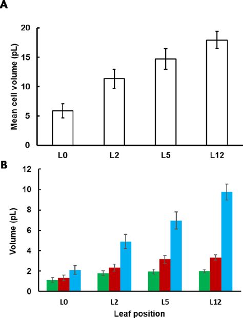 Figure 2 From The Evolution Of Leaf Function During Development Is