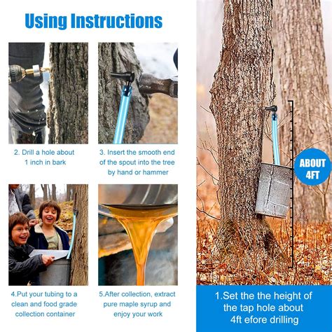 Buy Maple Syrup Tree Tapping Kit 12 Set Maple Tree Extractor Tool Kit