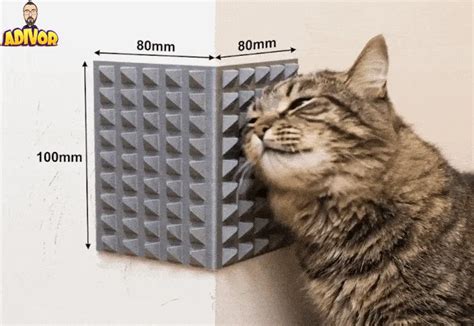 Cat Corner Rub And Wall Protector Free 3d Print Model Makerworld