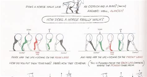 quadruped walk cycle walking animation animation art