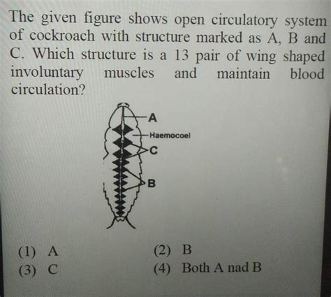 The Given Figure Shows Open Circulatory System Of Cockroach With Structur