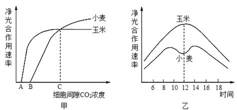 题目 图甲是某生态农业的结构模式图 图乙表示某自然生态系统能量流经第一营养级图的示意图 其中a g表示能量值 据图回答下列问题 图中 和 在碳循环中起关键作用 图示的农业生态系青