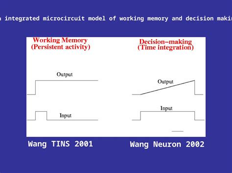Ppt Wang Tins 2001 Wang Neuron 2002 An Integrated Microcircuit Model Of Working Memory And