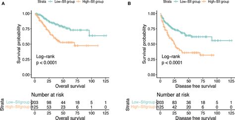 Kaplan Meier Curves For OS A And DFS B Stratified By SII
