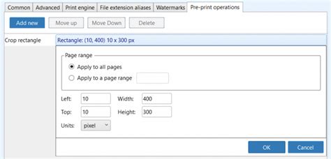 Pre Print Operations Print Conductor