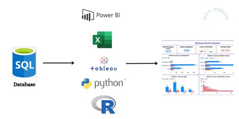 Sql For Data Visualization Sql Is A Powerful Programming Language