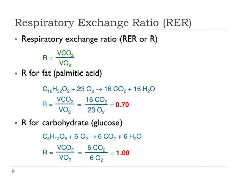 Ppt Exercise Metabolism Dr Kyle Coffey Powerpoint Presentation Free