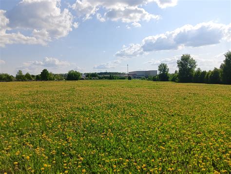 Бунд Пикабу