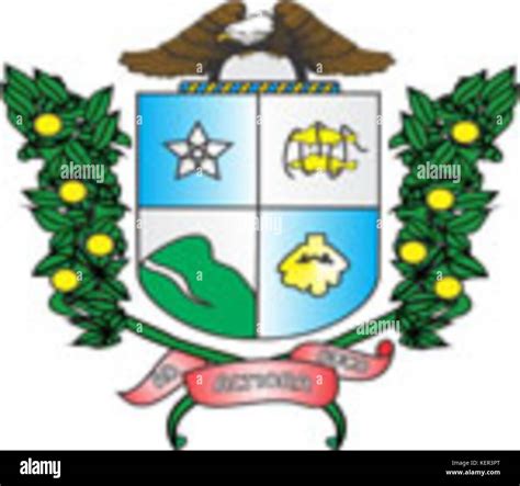 Brasao Cut Out Stock Images And Pictures Alamy