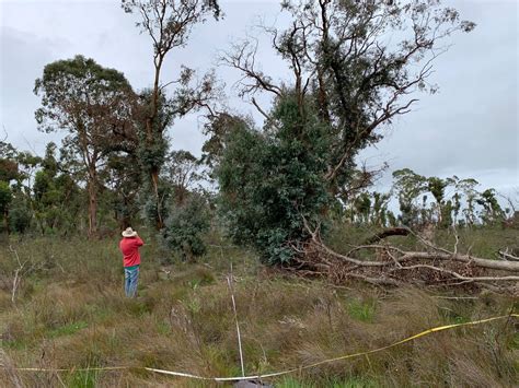 Biodiversity Credits
