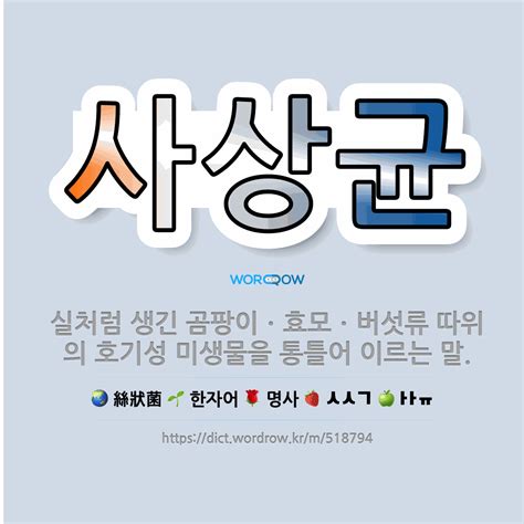 🌟사상균 실처럼 생긴 곰팡이ㆍ효모ㆍ버섯류 따위의 호기성 미생물을 통틀어 이르는 말 표준국어대사전