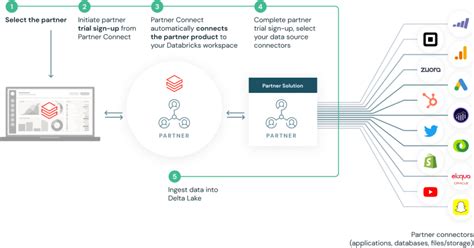 Partner Connect Databricks