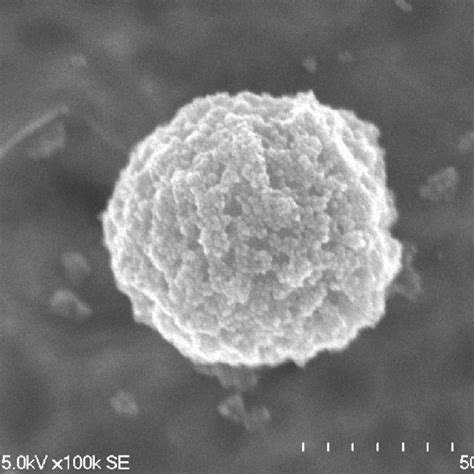 a schematic of lbl assembly on colloids examples of nanoassembled