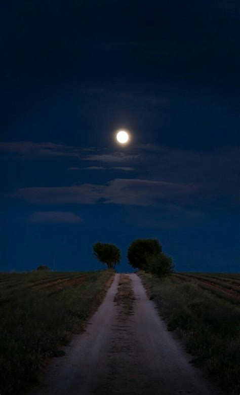 I Will Do Accurate Data Processing And Data Entry For You