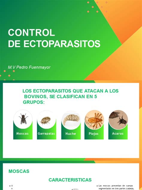 Presentación Del Control De Ectoparasitos 20240406 073520 0000