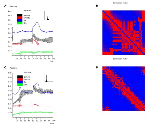 Figure 1 From Emergence Of Modular Structure In A Large Scale Brain