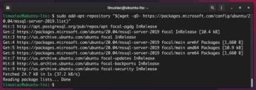 How To Install SQL Server And SQL Server CLI Tools On Ubuntu