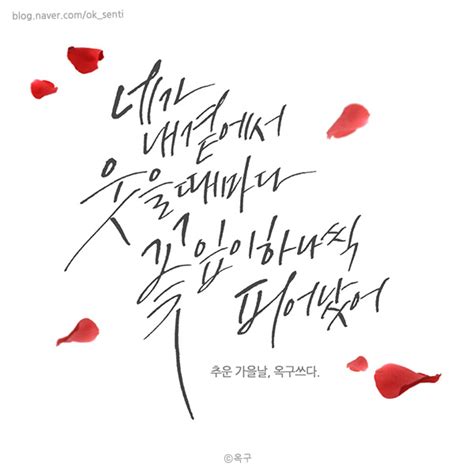 옥구 습작 네가 내곁에서 웃을때마다 꽃잎 피어나다 캘리그라피 캘리그래피 손글씨 펜글씨 좋은글귀 좋은글 감성 힐링 카톡프로필 인스타 폴라