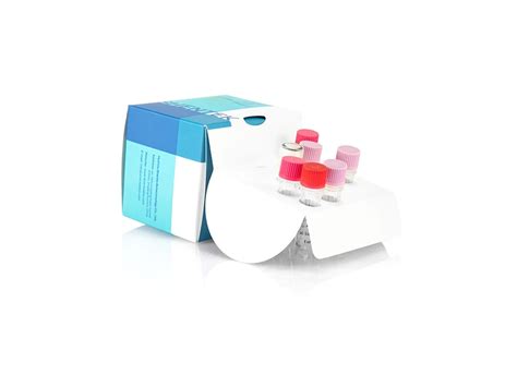 Shentek Reverse Transcriptase Assay Control