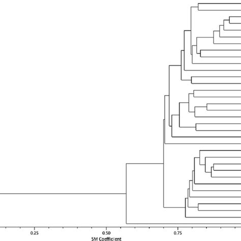 dendrogram based on unweighted pair group method with arithmetic