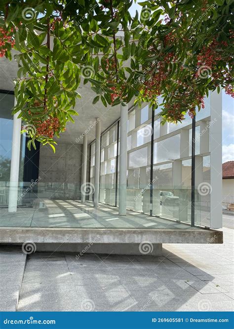 Terrace Building Of A Social Infrastructure Facility In Modern Design