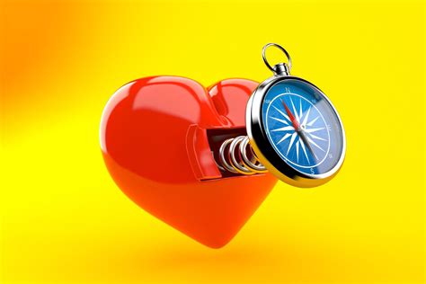 Emotions Are Your Personal Compass Physis