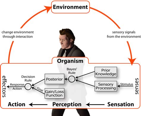 Figure 10 From A Bayesian View On Multimodal Cue Integration Semantic
