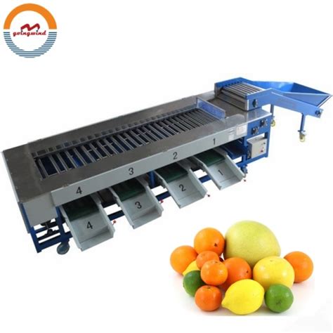 Automatic Commercial Small Fruit Size Sorting Grading Machine Auto