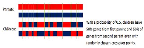 Uniform And Half Uniform Crossover In The Uniform Crossover Individual Download Scientific