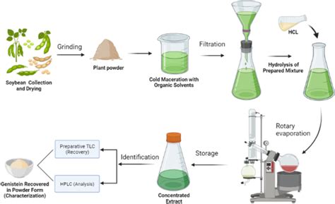 Extraction Isolation And Identification Procedure Of Genistein