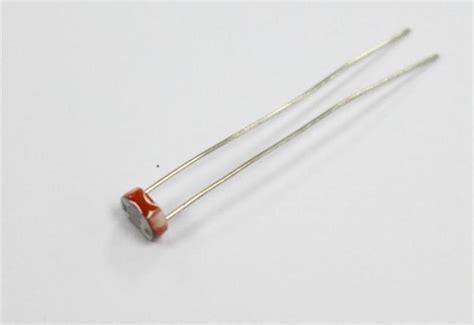 100pcs Photosensitive Resistance 5516 Photosensitive Switch Element