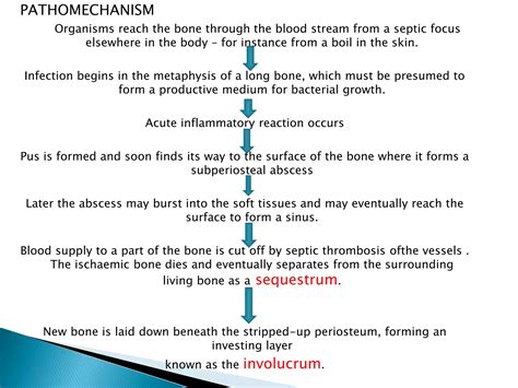 Acute Osteomyelitis Pptx