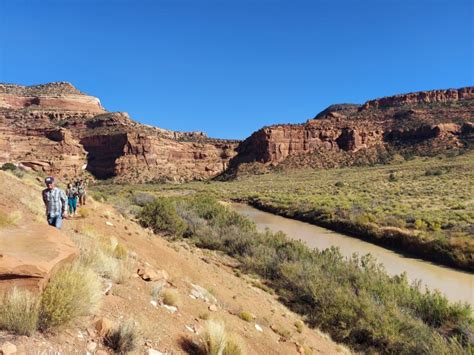 Top Conservation Organizations You May Not Have Heard Of Tripoutside