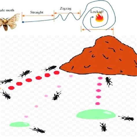 The Performance Illustration Of Maa Algorithm Download Scientific Diagram