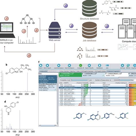 Sirius 4 Graphical User Interface A The Molecular Formula ‘sirius Download Scientific Diagram