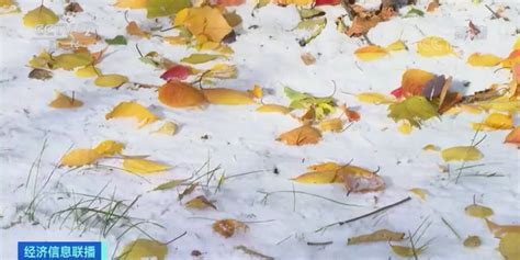 “拉尼娜”事件或将形成，今年冬天会很冷吗？ 搜狐大视野 搜狐新闻