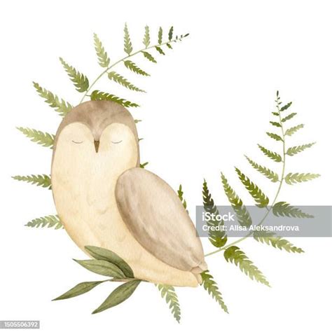 고사리의 화환을 가진 올빼미 하얀 고립된 배경에 숲의 새와 삼림 식물의 손으로 그린 수채화 그림 베이비 샤워 인사말 카드 또는 유치한 초대장을위한 귀여운 라운드 프레임 0