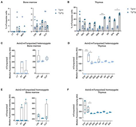 Cells Free Full Text Axin2 Conductin Is Required For Normal