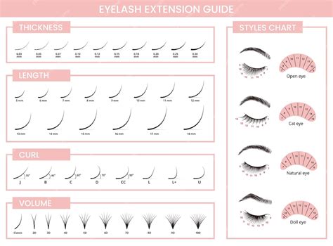 Premium Vector Eyelash Extensions Guide Lashes Extension Types By Thickness Length Curl And