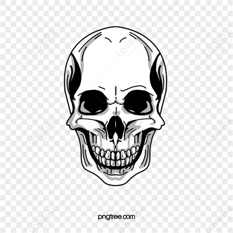 Se60228인쇄 해골 일러스트 초상화 두개골 캐릭터 Png 일러스트 무료 다운로드 Lovepik