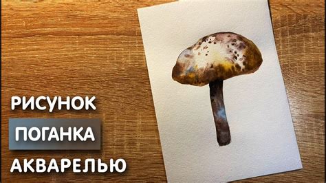 Как нарисовать поганку карандашом и акварелью начинающим Рисунок для детей Youtube