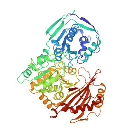 Rcsb Pdb 1lxt Structure Of Phosphotransferase Phosphoglucomutase From Rabbit