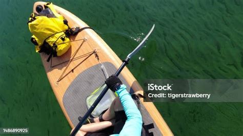 Sup 보드에 있는 여자가 바닷물에서 운동하고 있다 위에서 볼 수 있습니다 패들 보드에 좌석 의자 및 잠수복과 같은 특수 장비 화창한 여름날 패들 Sup 보드에서 훈련과