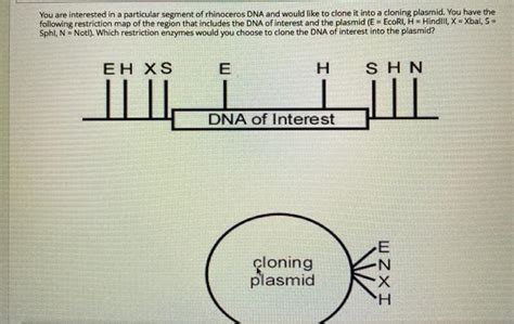 Solved You Are Interested In A Particular Segment Of