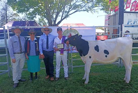 Fnqs Patrick English Triumphs In Dairy Paraders Finals Queensland Country Life Qld